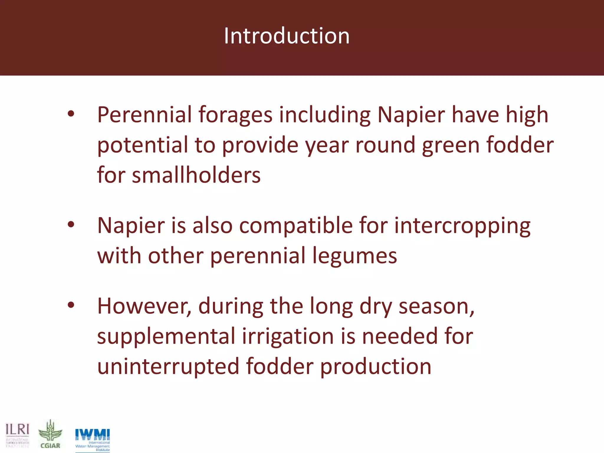 Lessons from pilot trials with small-scale irrigated forage production ...