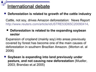 Does growing soy destroy Amazon rainforest? | PDF