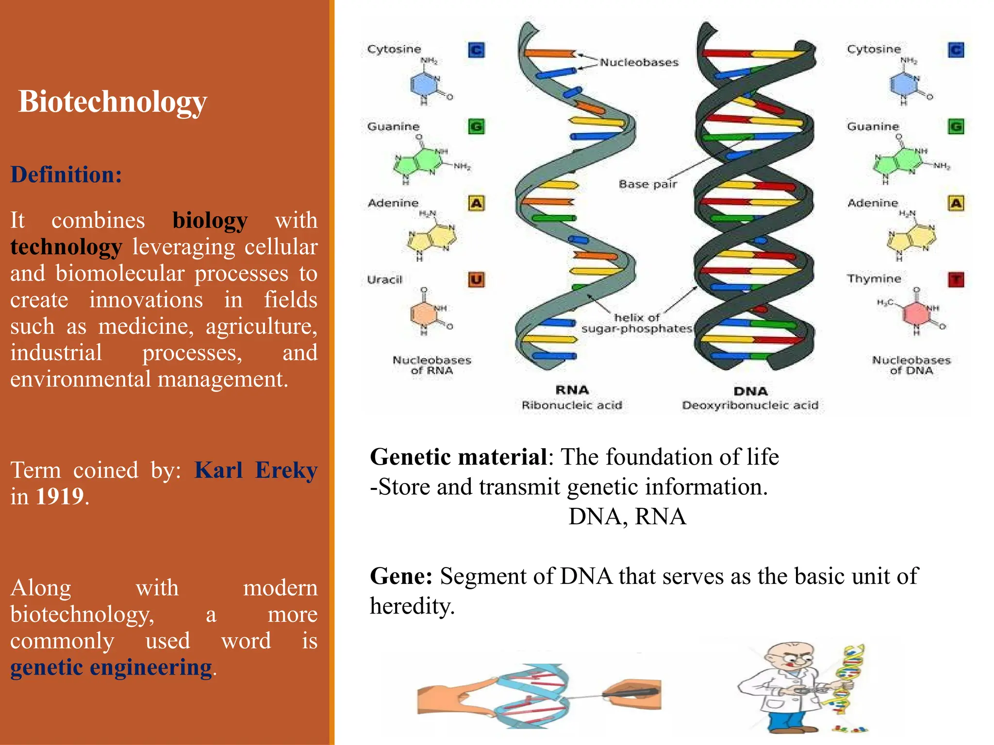 AA Genetic engineering Master of Science | PPTX