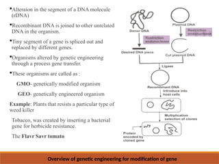 AA Genetic engineering Master of Science | PPT