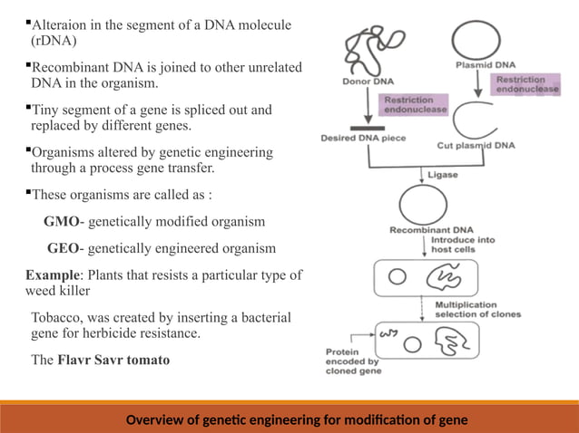 AA Genetic engineering Master of Science | PPT