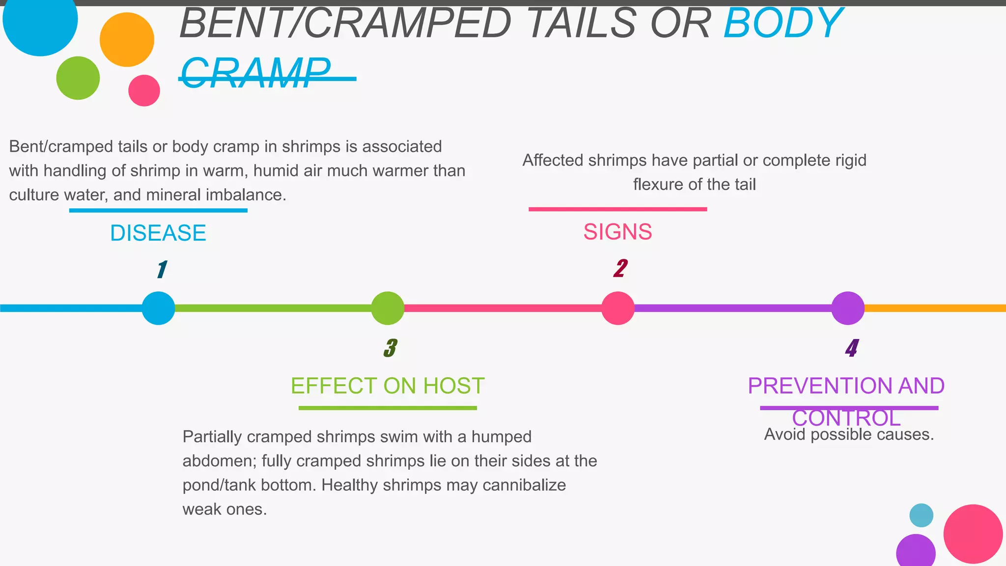 important shrimp diseases in india | PPTX