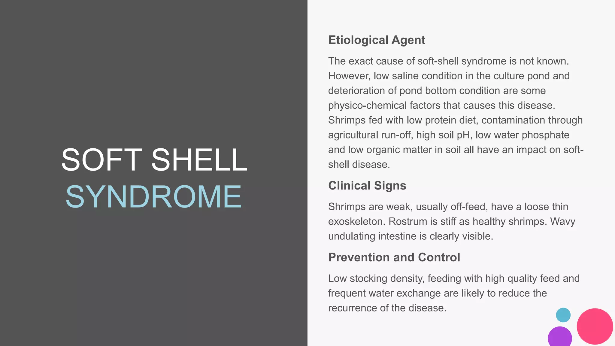 important shrimp diseases in india | PPTX