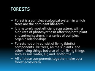 PPT on save forests and save water. save earth | PPTX