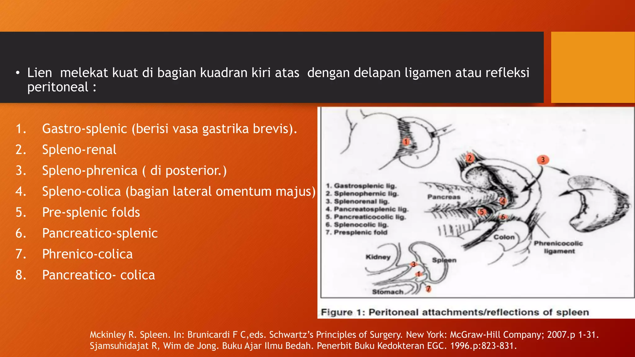 Cidera trauma Lien iatrogenik | PPT