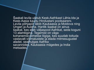 Šaakal | PPTX