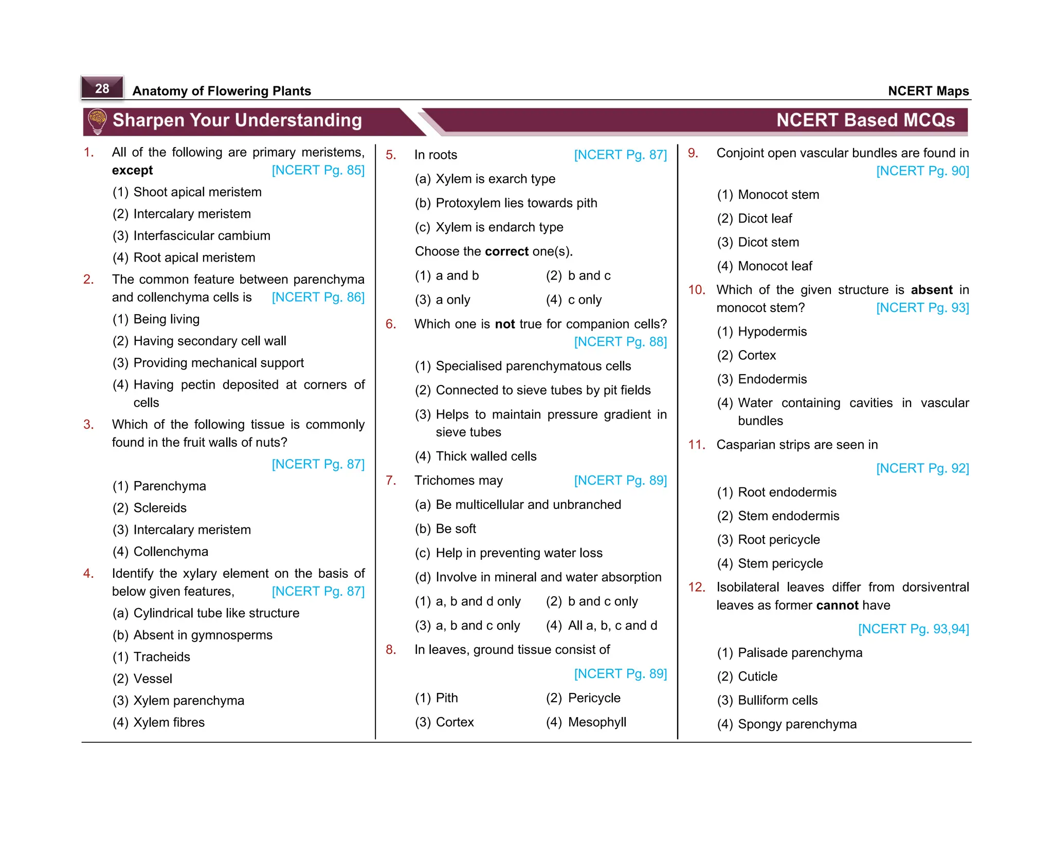 BIOLOGY NEET Mind Map FOR 360 (BOTANY).pdf