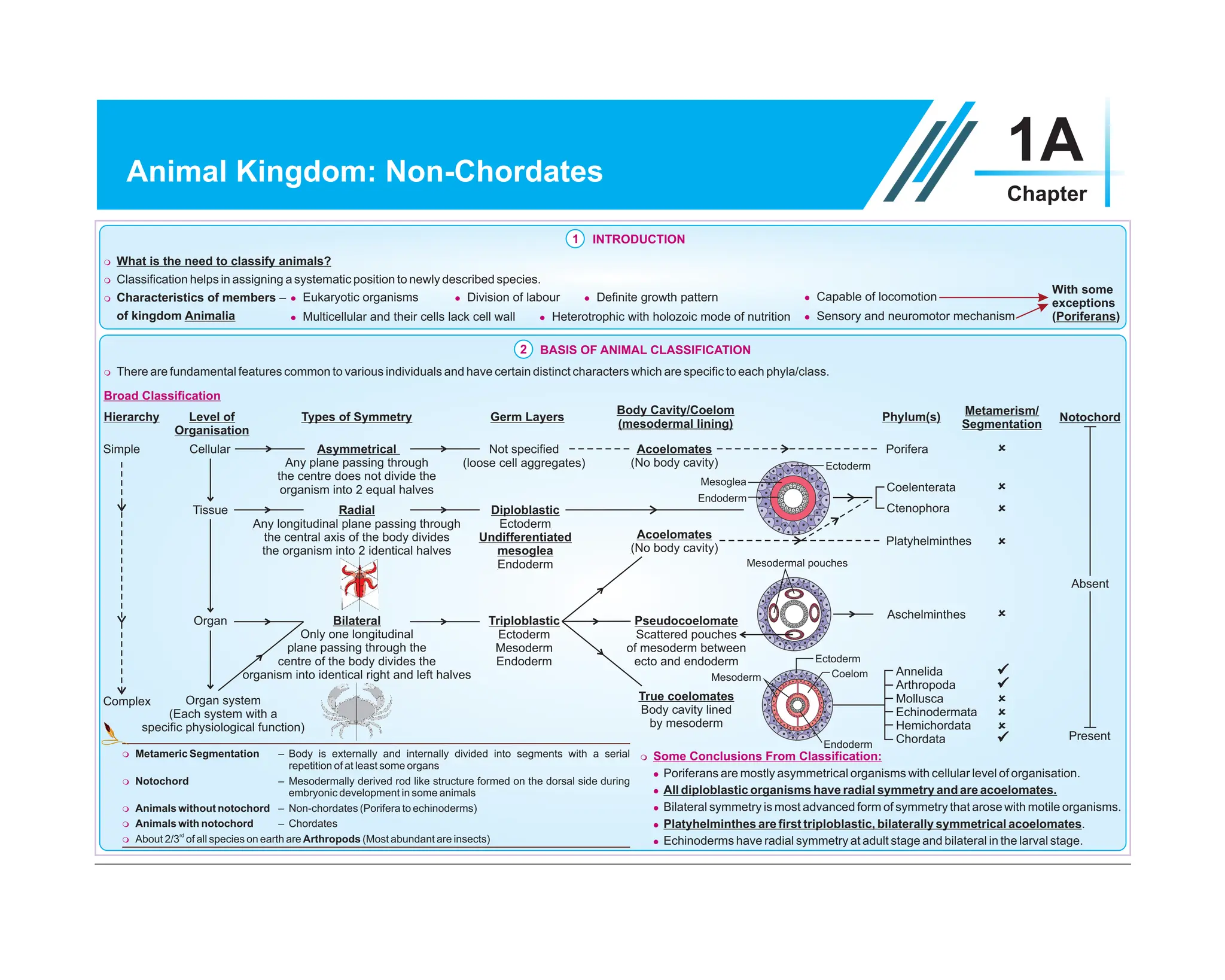 BIOLOGY NEET Mind Map FOR 360(ZOOLOGY).pdf