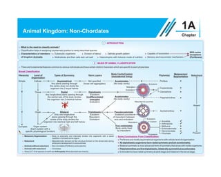 BIOLOGY NEET Mind Map FOR 360(ZOOLOGY).pdf