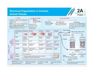 BIOLOGY NEET Mind Map FOR 360(ZOOLOGY).pdf