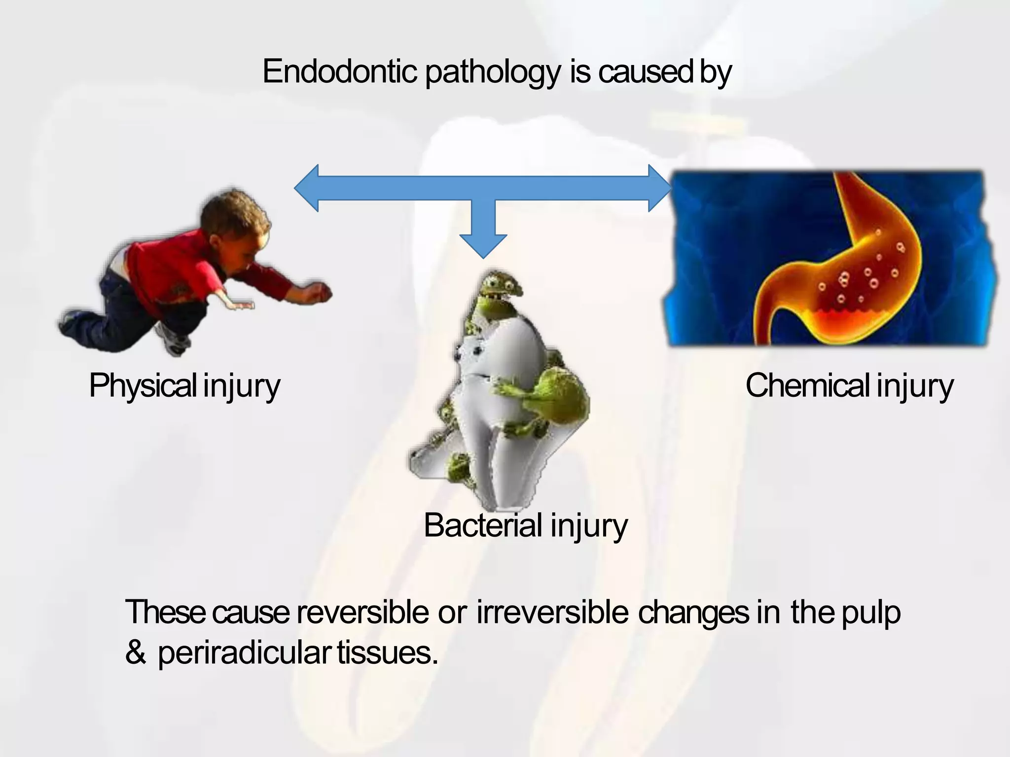 rationale of endodontics | PPTX