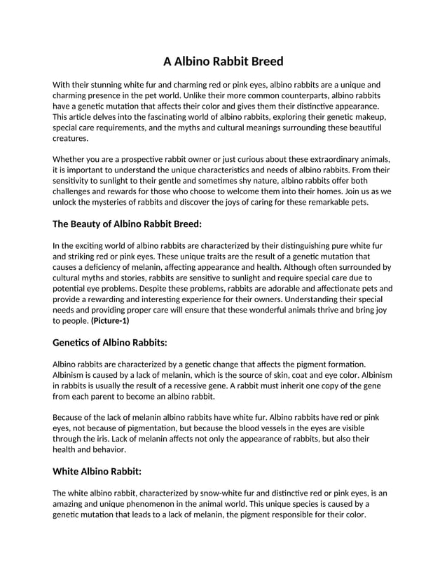 A Albino Rabbit: Beauty of Albino Rabbit Breed | PDF