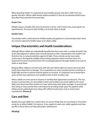 A Albino Rabbit: Beauty of Albino Rabbit Breed | PDF