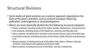 Anatomy of Angiosperms beginners Lecture 1.pptx