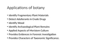 Anatomy of Angiosperms beginners Lecture 1.pptx