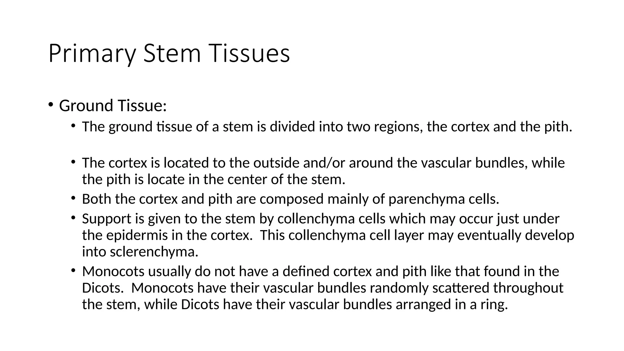 Anatomy of Angiosperms beginners Lecture 2.pptx