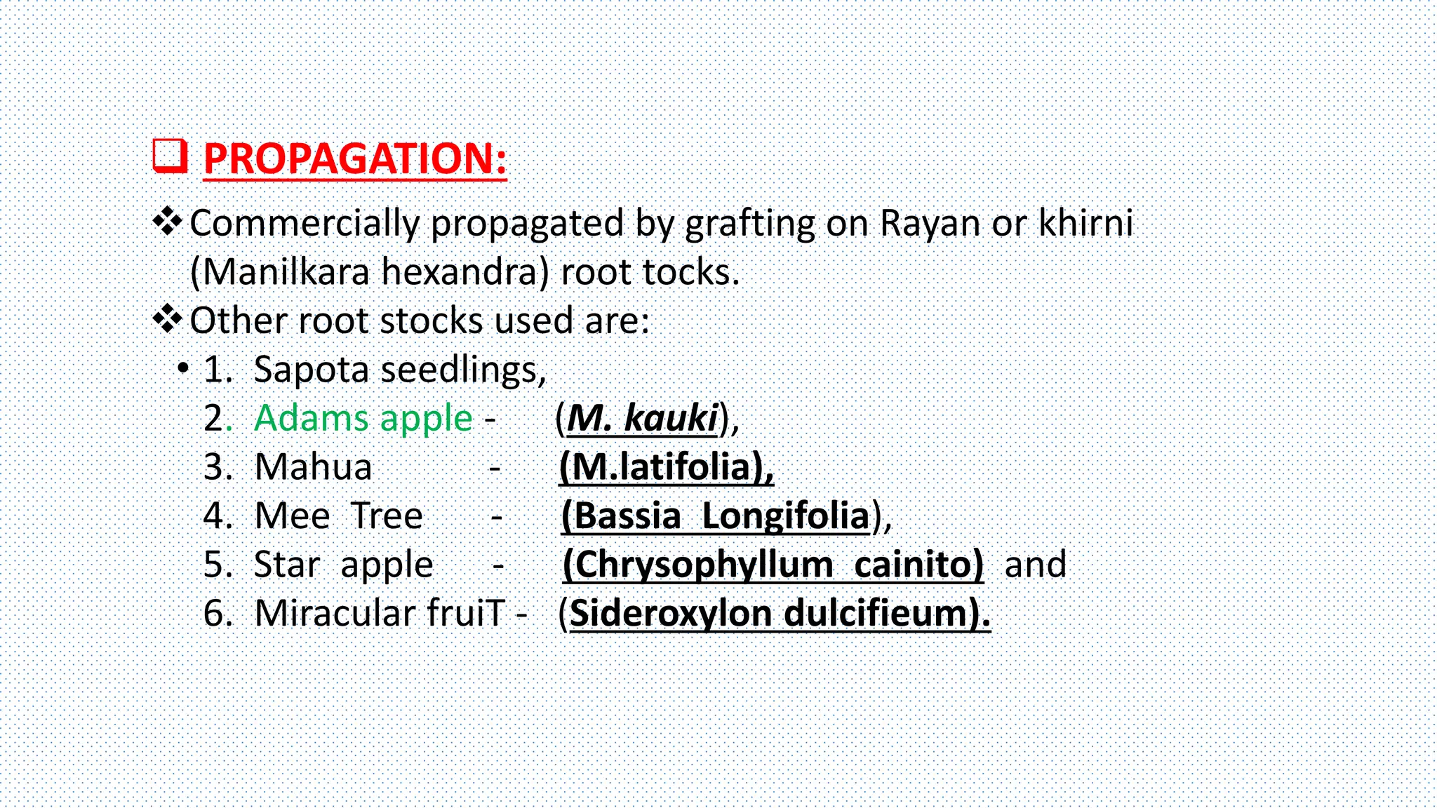 sapota cultivation | PPTX