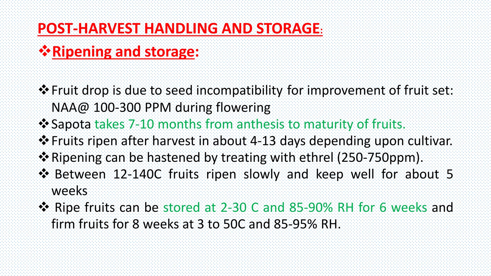 sapota cultivation | PPTX