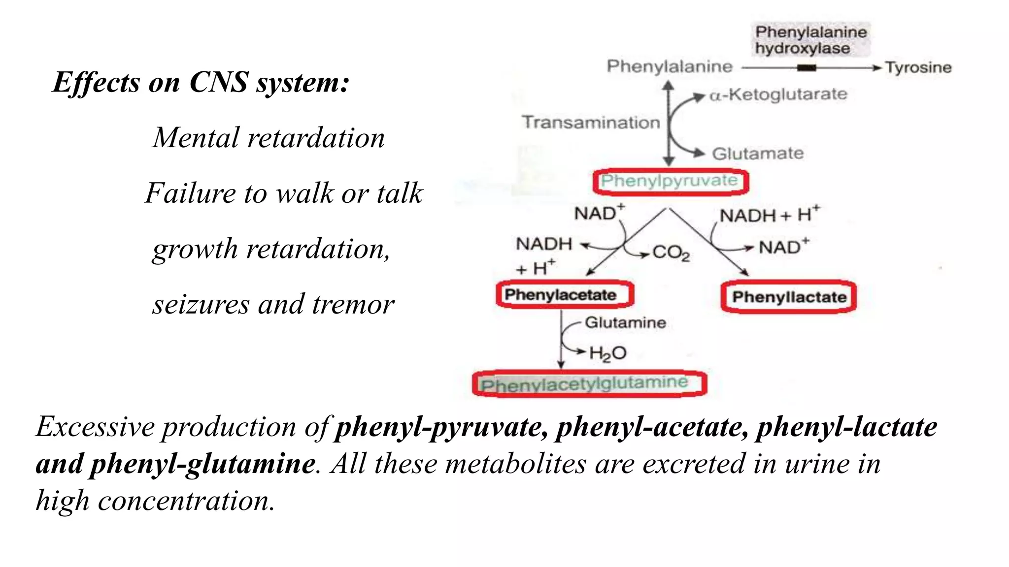 AAM- 6a: Metabolism of aromatic acids -1 ( Catabolism & disorders of ...