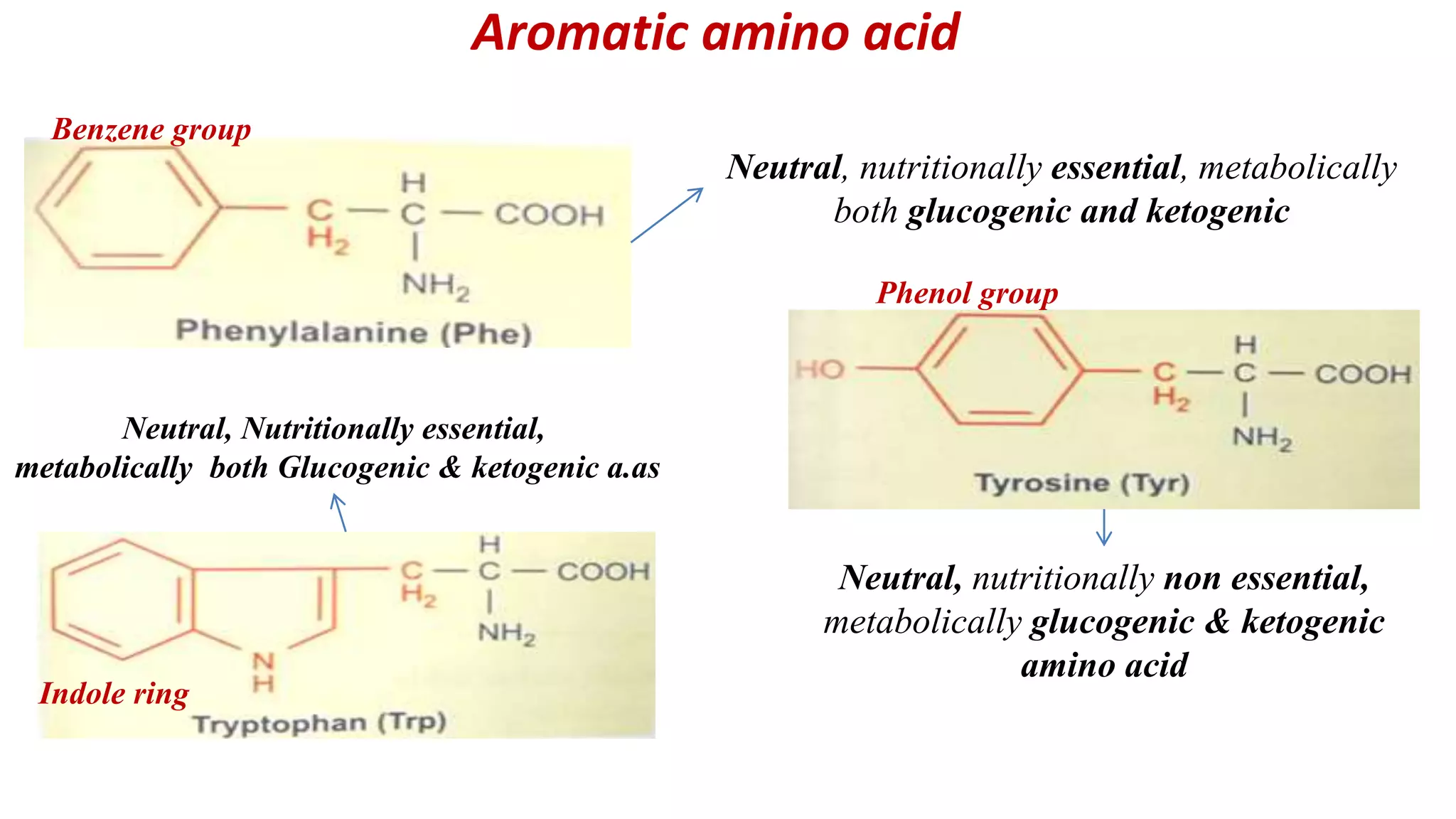 AAM- 6a: Metabolism of aromatic acids -1 ( Catabolism & disorders of ...