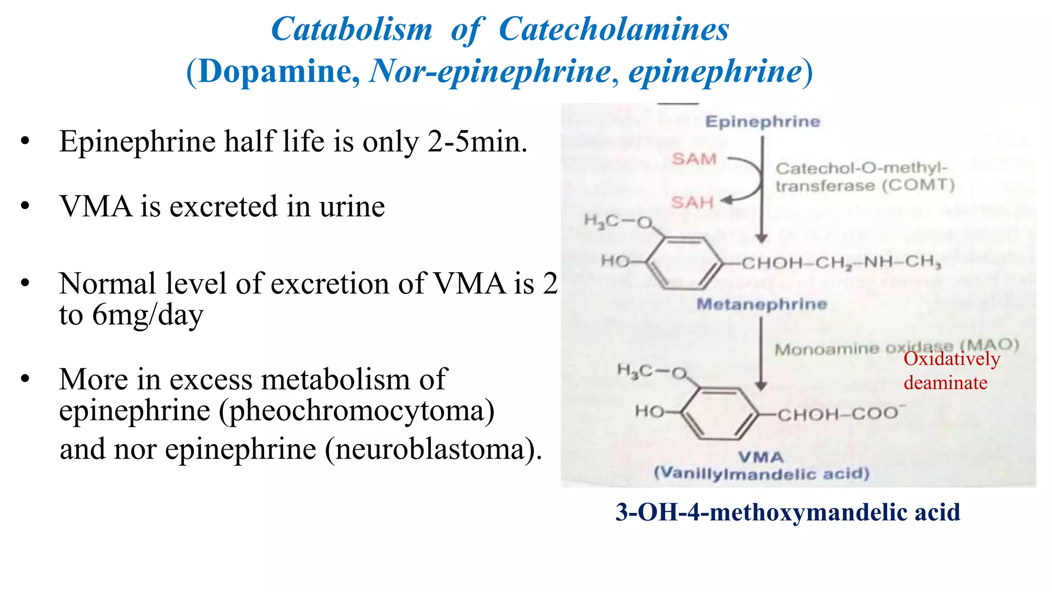 AAM- 6b: Metabolism of aromatic acids -2 ( Metabolic functions of ...