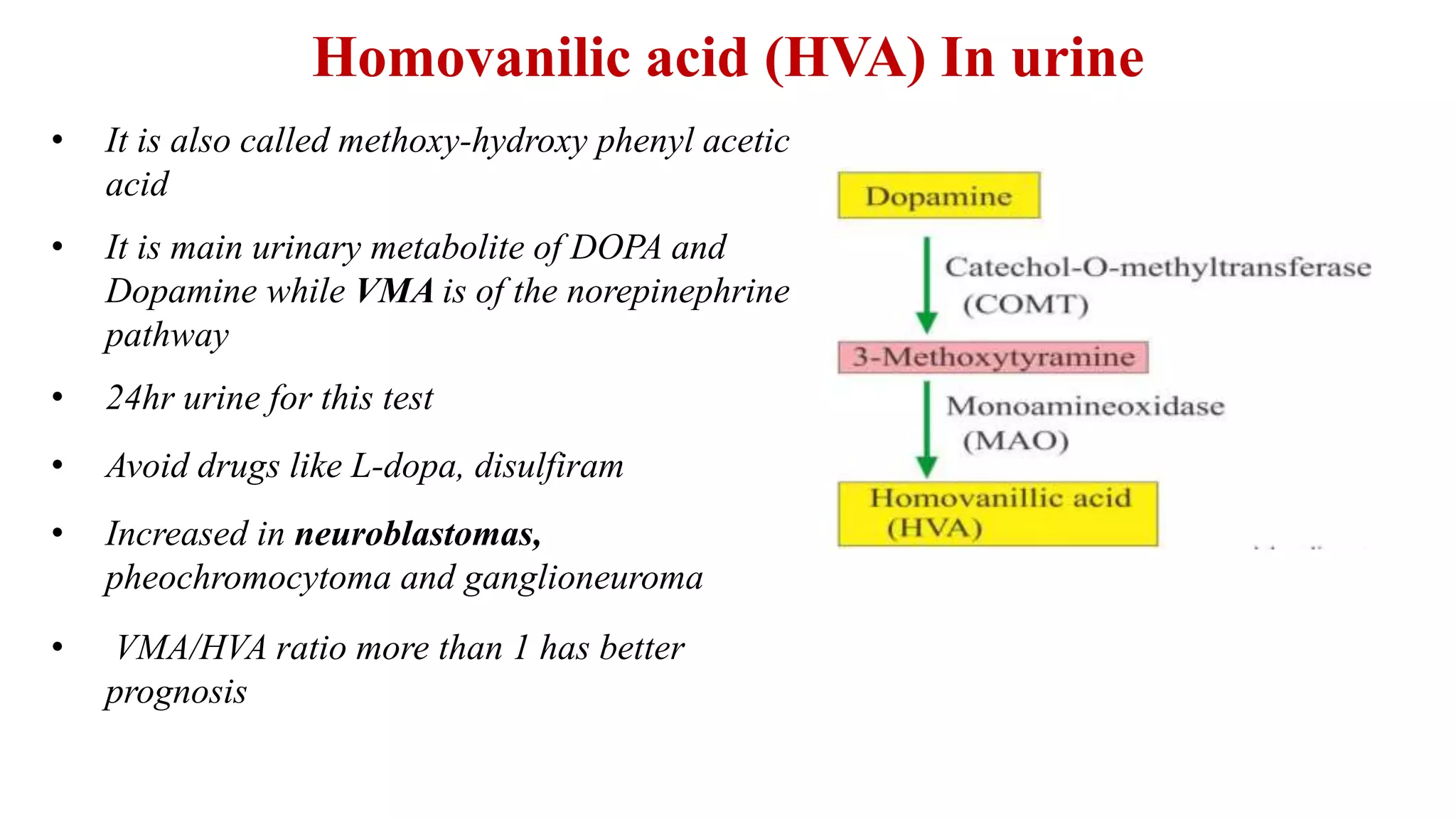 AAM- 6b: Metabolism of aromatic acids -2 ( Metabolic functions of ...