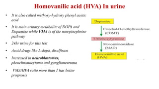 AAM- 6b: Metabolism of aromatic acids -2 ( Metabolic functions of ...