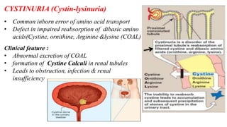 Aam 7 metabolism of sulphur containing a.a's | PPTX