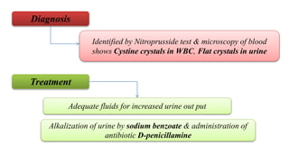 Aam 7 metabolism of sulphur containing a.a's | PPTX