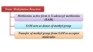 Aam 7 metabolism of sulphur containing a.a's | PPTX