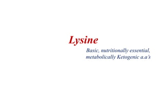 AAM-08 Metabolism of Basic Amino Acids | PPT