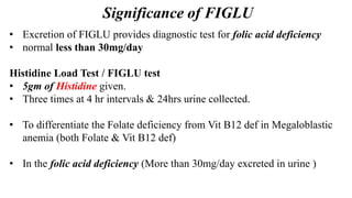 AAM-08 Metabolism of Basic Amino Acids | PPT