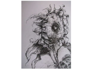 CONTINUOUS LINE DRAWING | PPTX