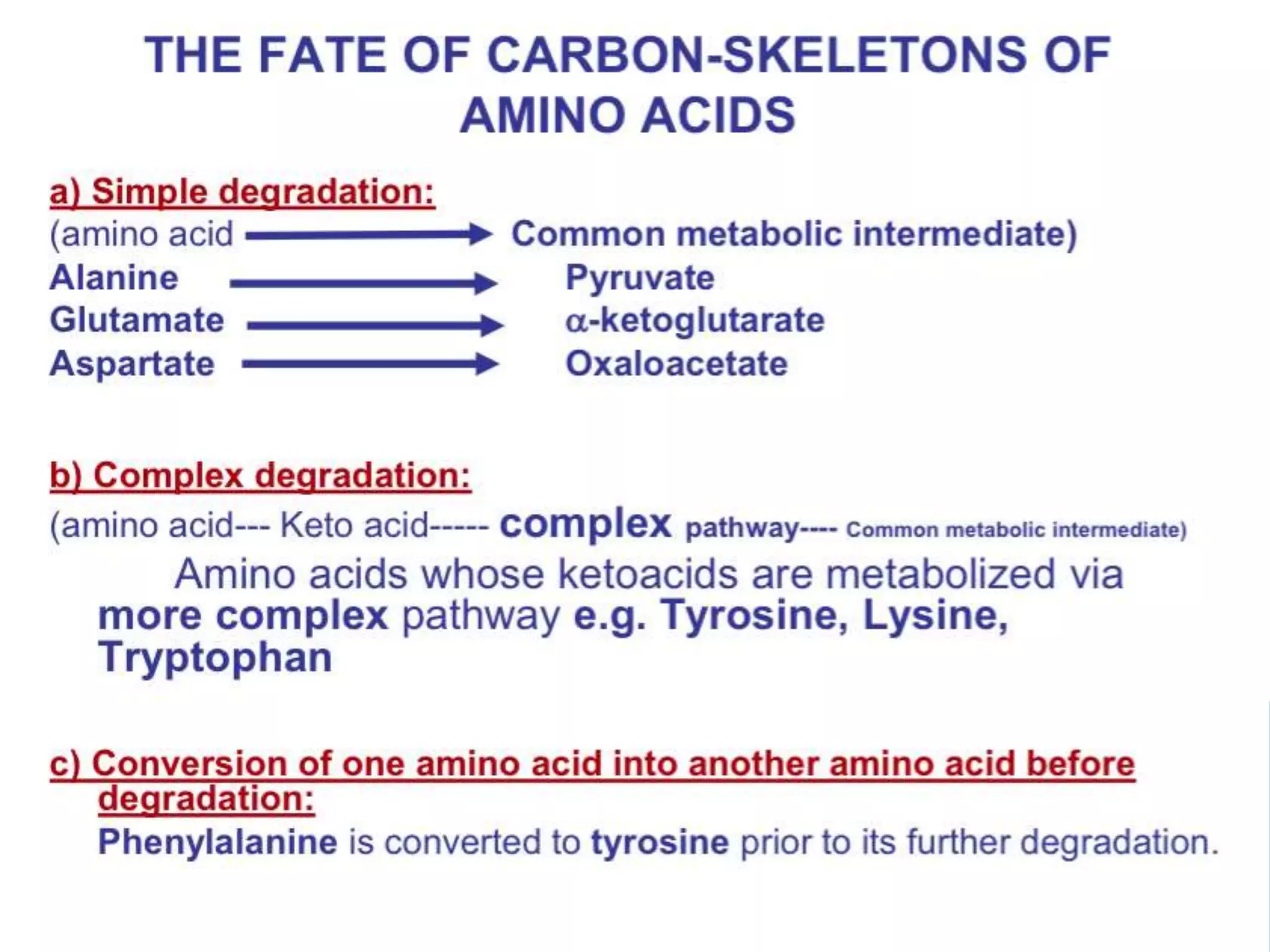 Amino acid metabolism | PPTX