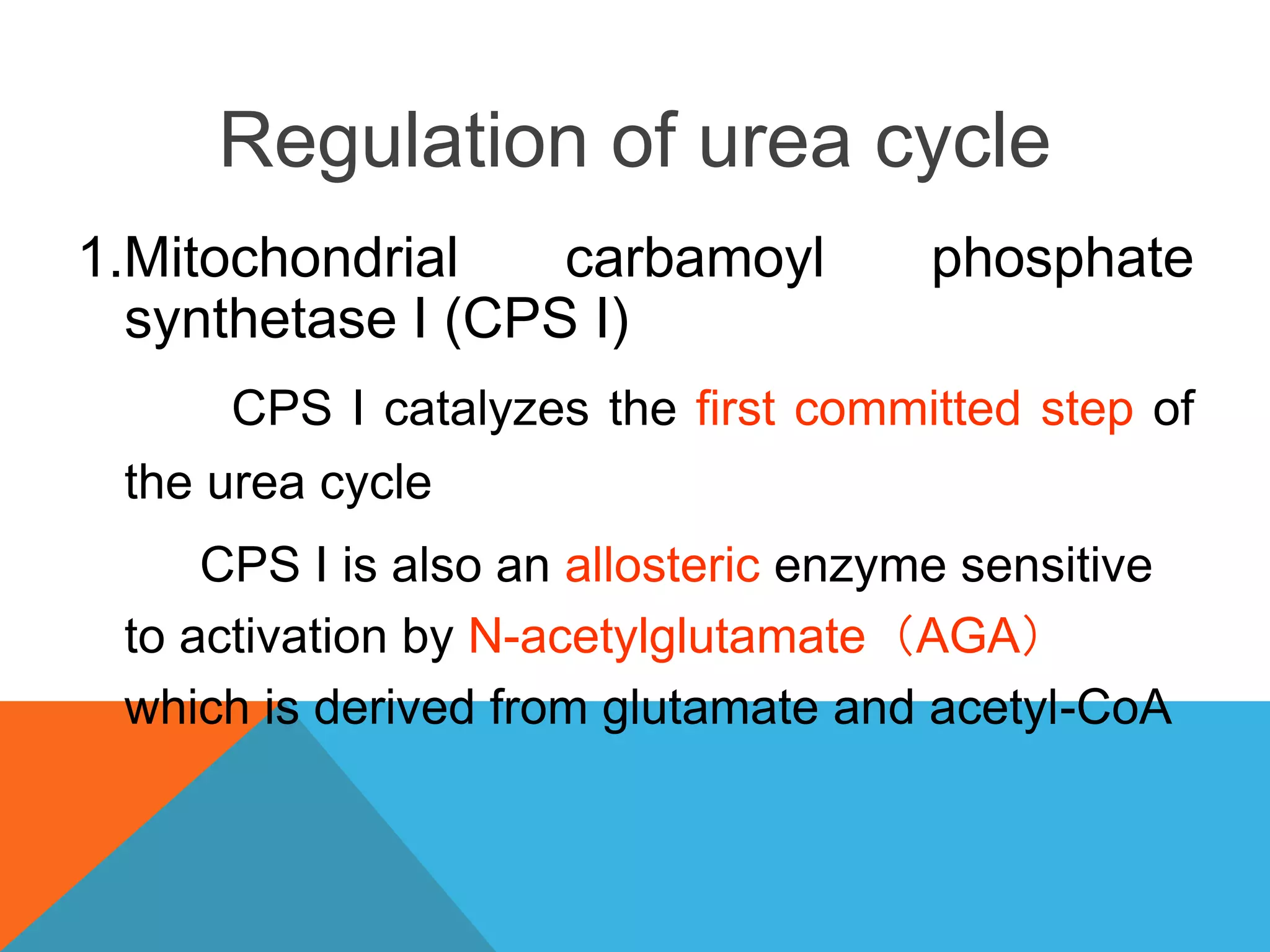 Amino acid metabolism | PPTX