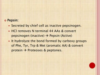 Amino acid metabolism_digestion & absorption.pdf