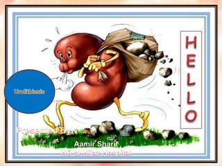 Urolithiasis and comparison between Urosinal Syrup and zyloric Tablet ...