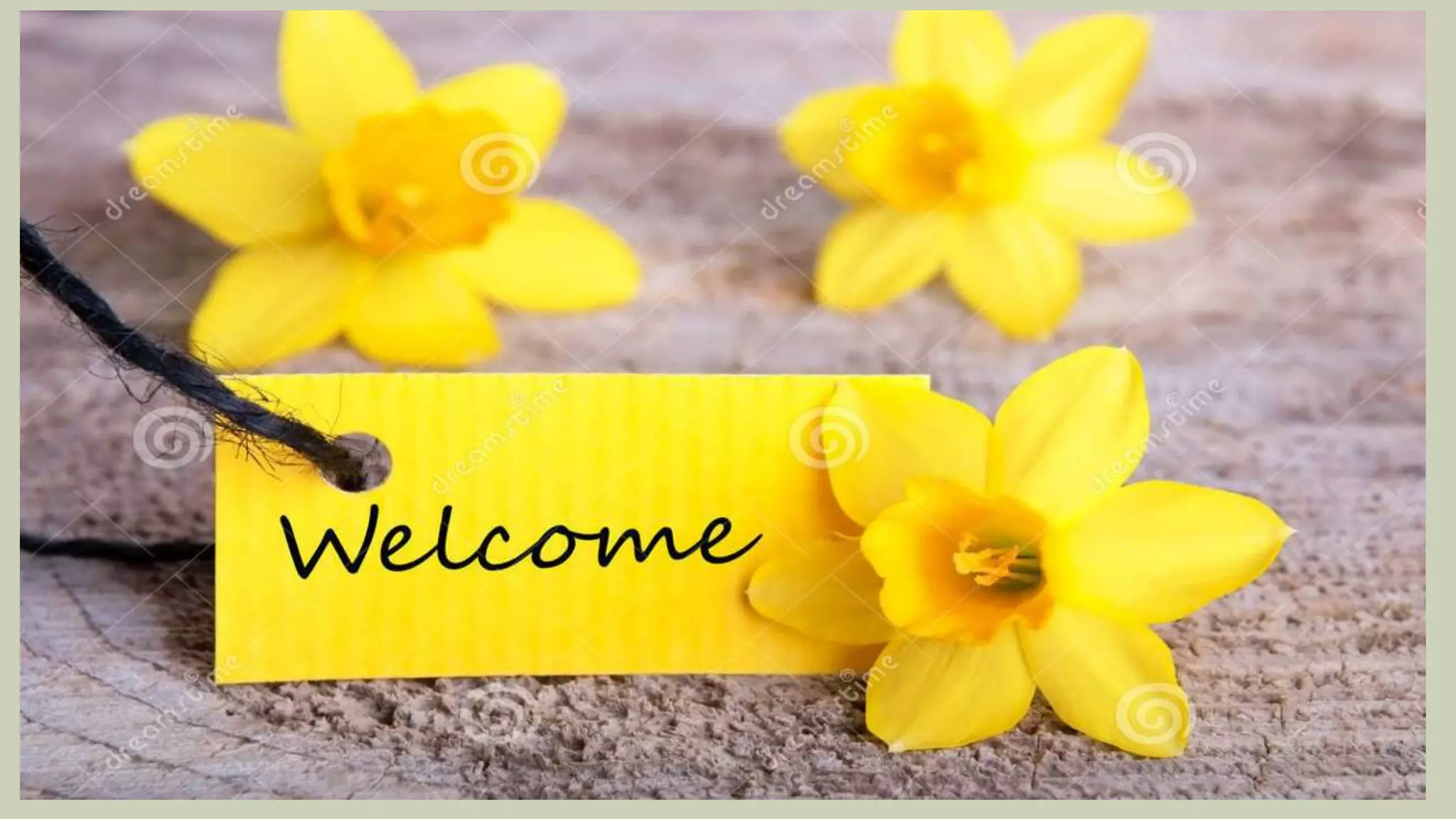 shale gas reservoir | PPTX