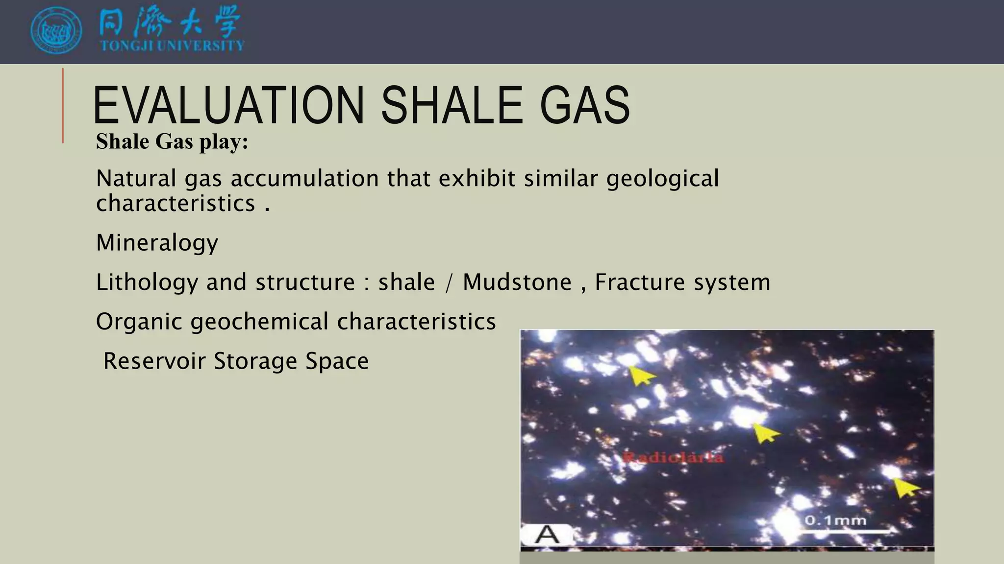 shale gas reservoir | PPTX