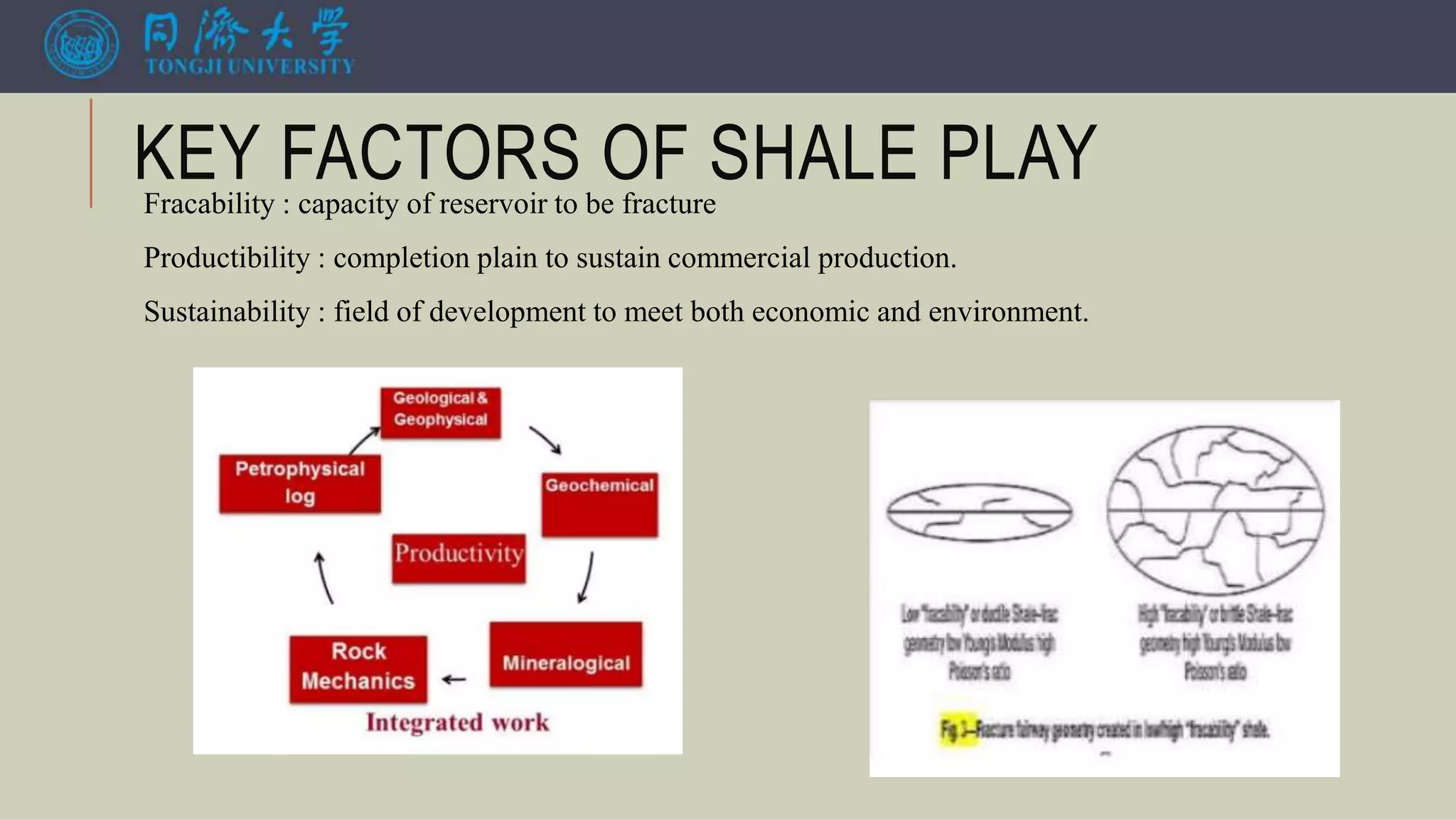 shale gas reservoir | PPTX