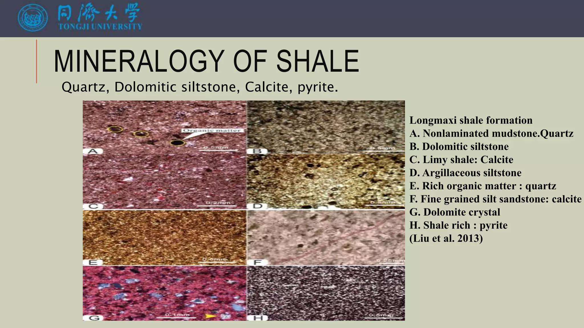 shale gas reservoir | PPTX