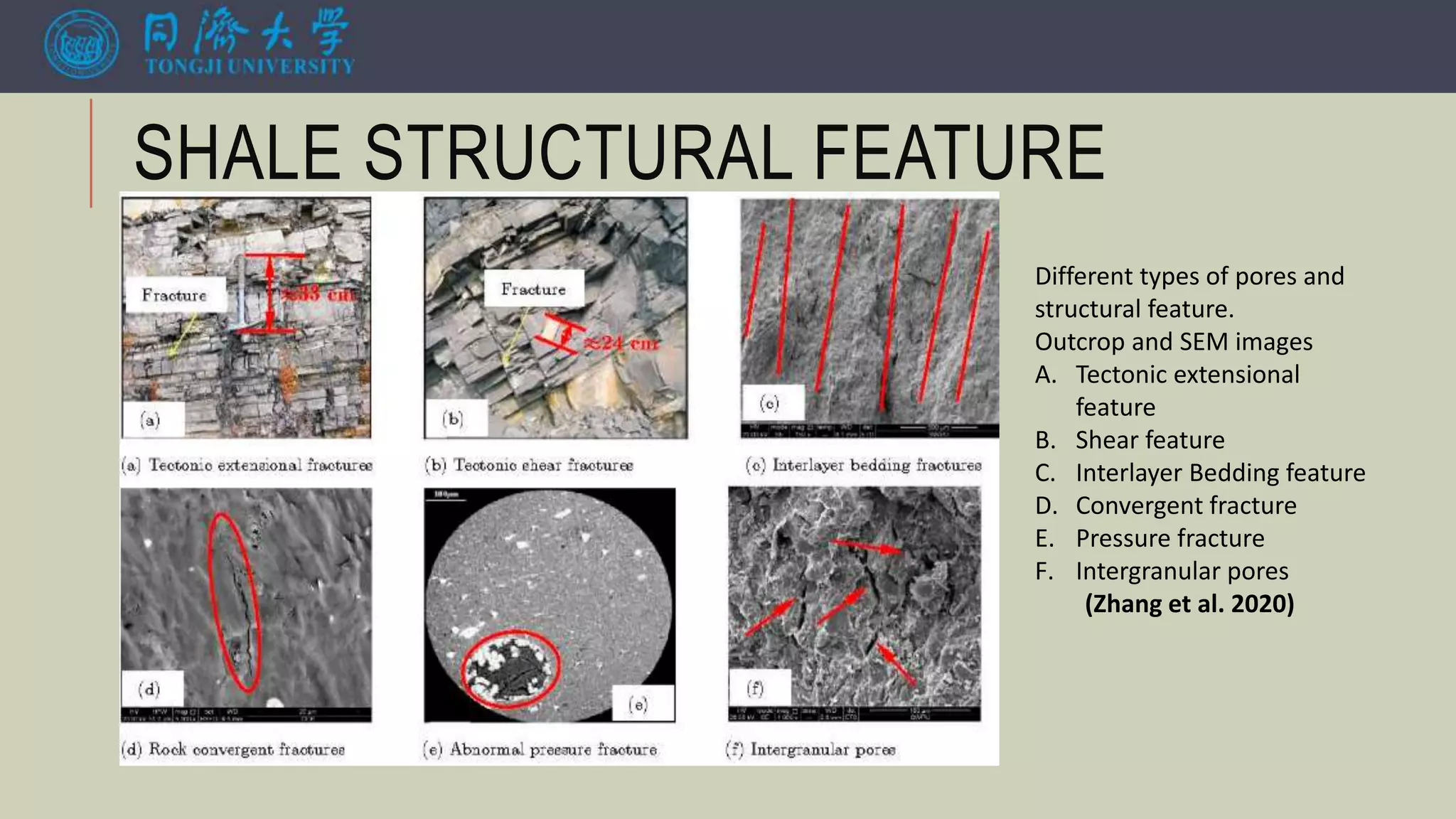 shale gas reservoir | PPTX