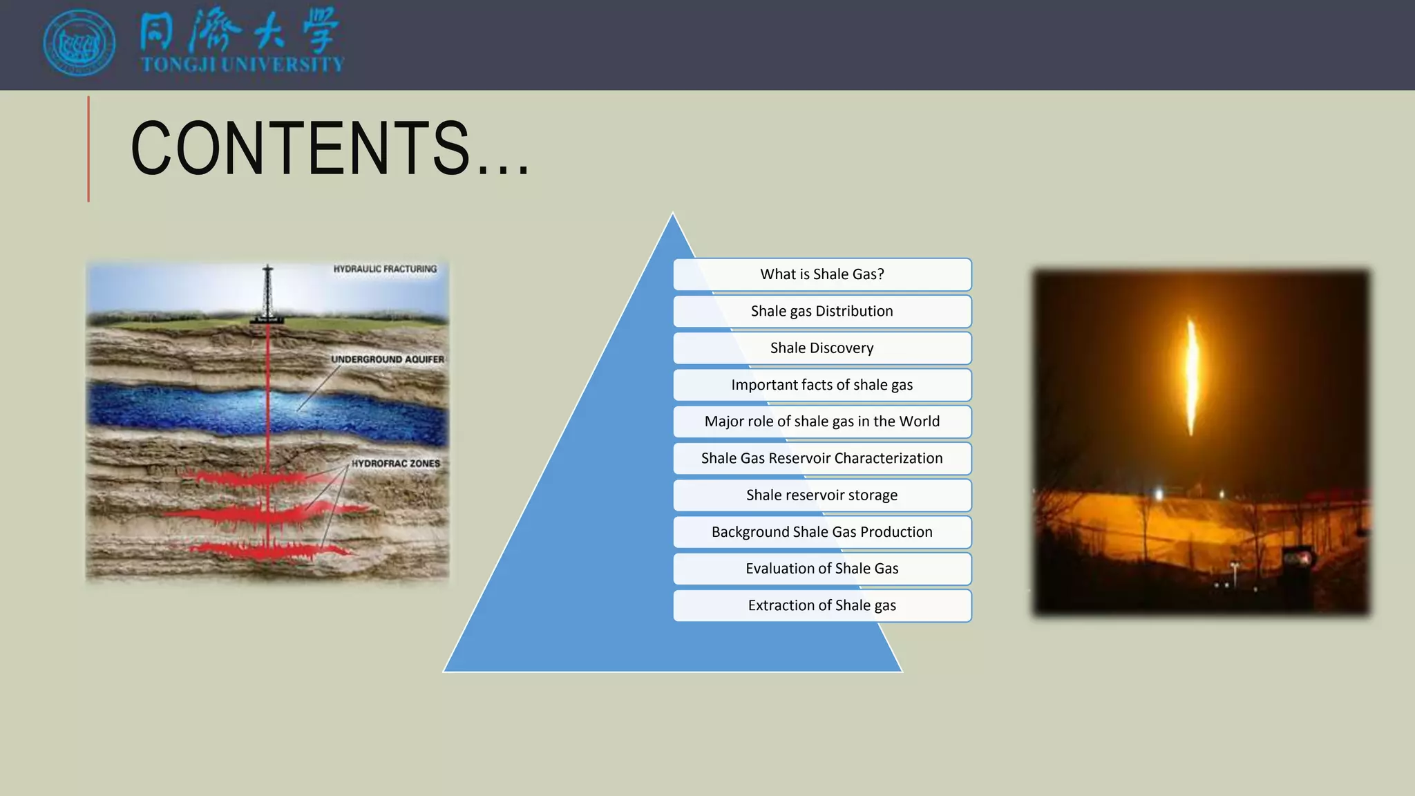 shale gas reservoir | PPTX