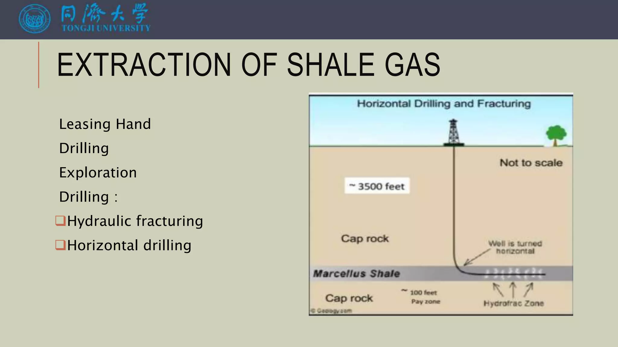 shale gas reservoir | PPTX
