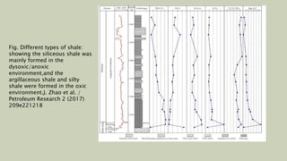 shale gas reservoir | PPTX