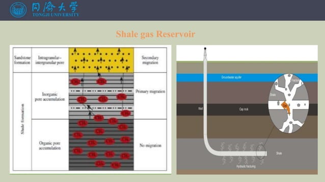 shale gas reservoir | PPTX | Geology | Science