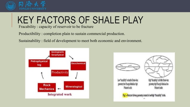 shale gas reservoir | PPTX | Geology | Science