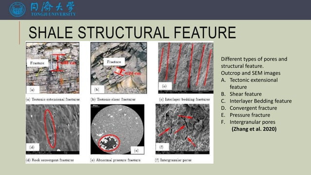 shale gas reservoir | PPTX | Geology | Science