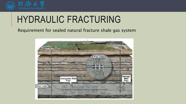 shale gas reservoir | PPTX | Geology | Science