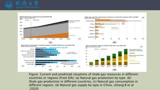 shale gas reservoir | PPTX